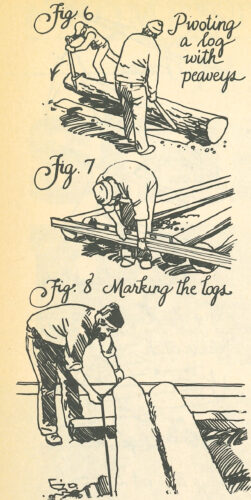 How to Build a Log Bridge – Mother Earth News